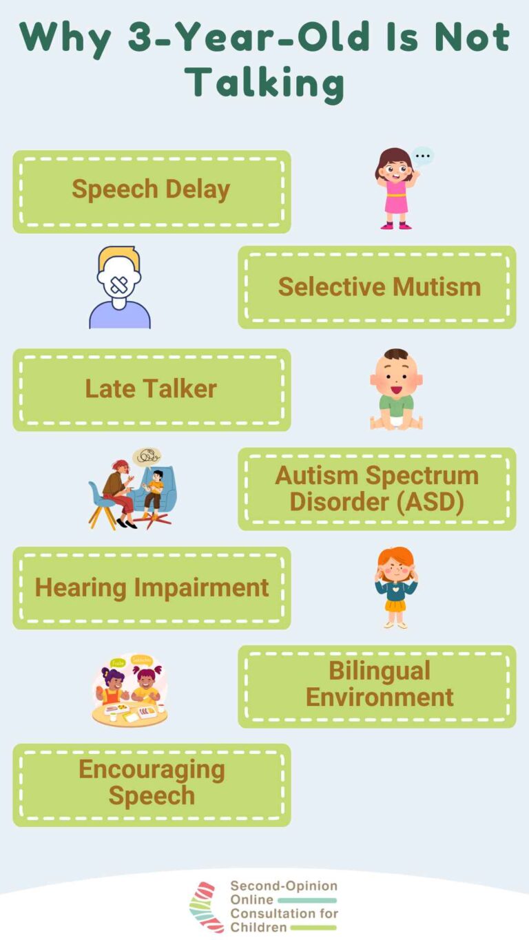 What To Do If My 3 Year Old Not Talking But Understands 